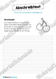 10 Abschreibtexte: Verschiedene Themen