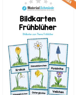 Tafelmaterial Frühblüher