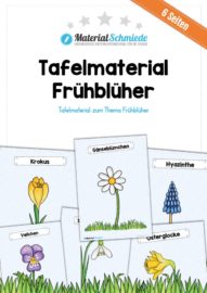 Unterrichtsmaterial zum Thema Frühblüher