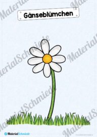 Tafelmaterial Frühblüher