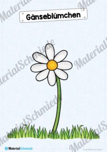 Tafelmaterial Frühblüher